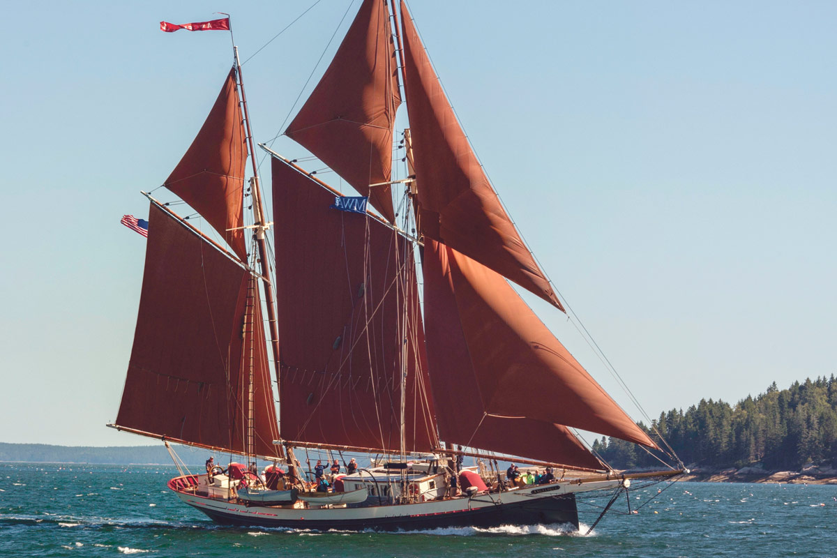 Angelique | Sail Boston® 2026